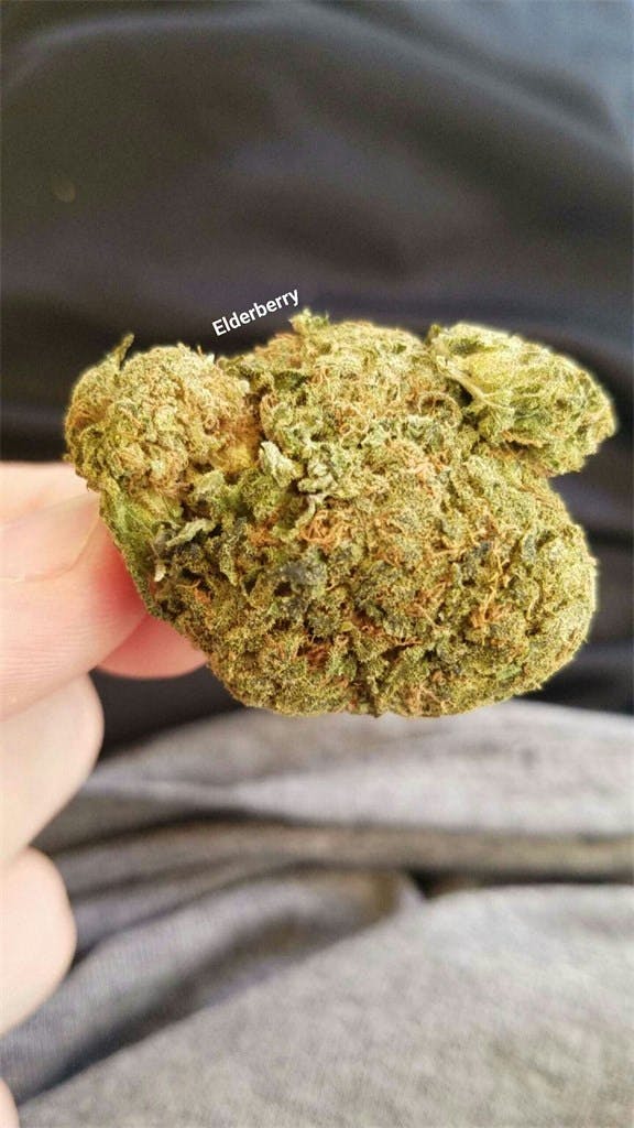 Elderberry aka Elderberry Kush Weed Strain Information | Leafly