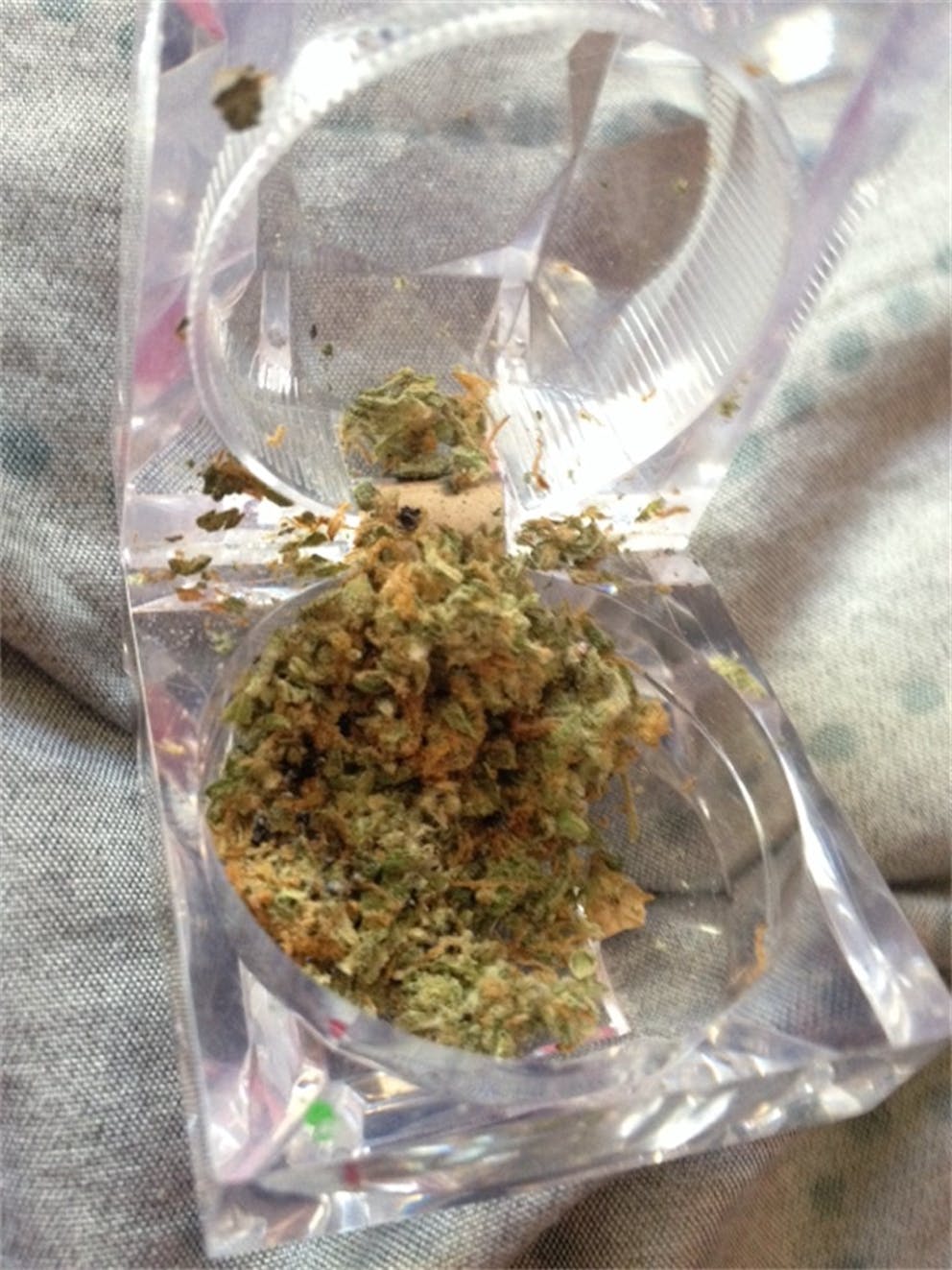 Photos of Emerald Jack Weed Strain Buds | Leafly