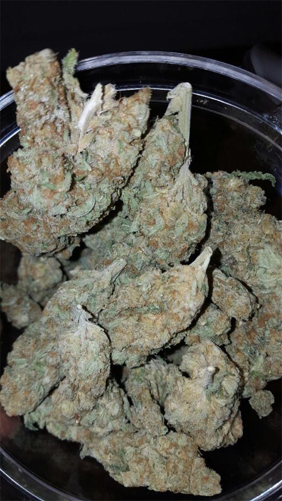 Emerald Jack Weed Strain Information | Leafly