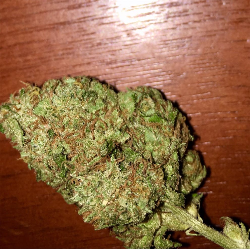 Photos of Exodus Cheese Weed Strain Buds | Leafly