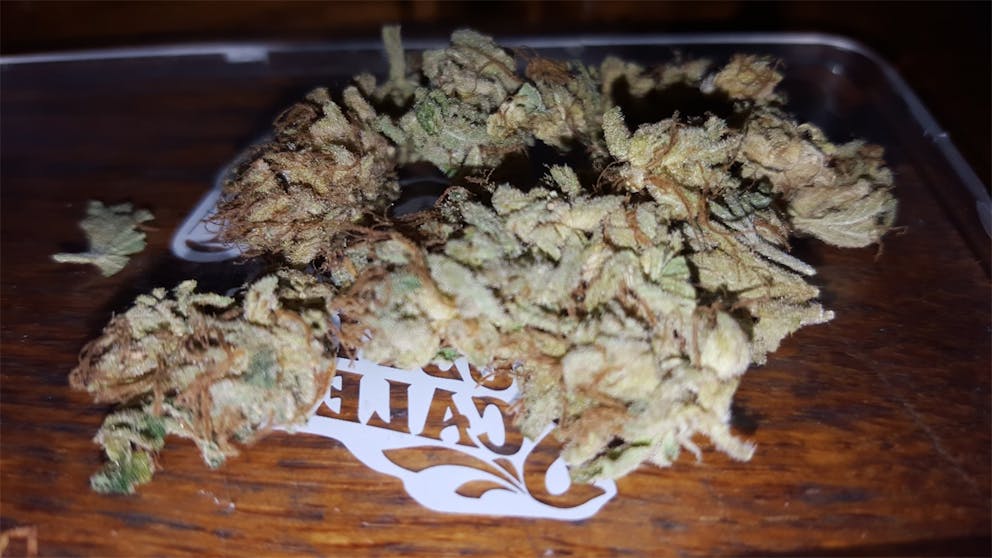 Photos of Fire Alien Kush Weed Strain Buds | Leafly