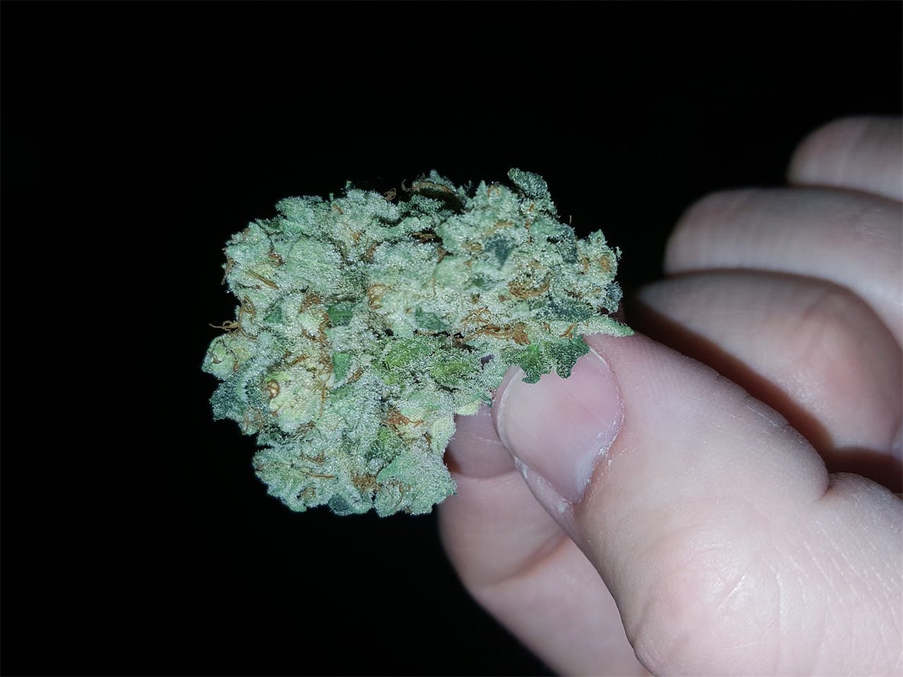 Fire Alien Kush Weed Strain Information | Leafly