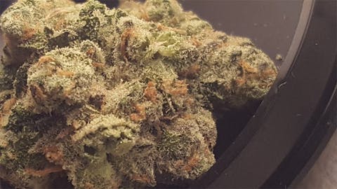 Flo OG Weed Strain Information | Leafly