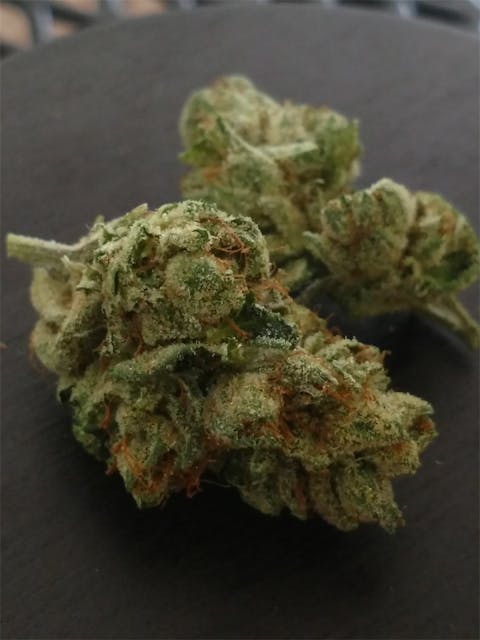 Flo OG Weed Strain Information | Leafly