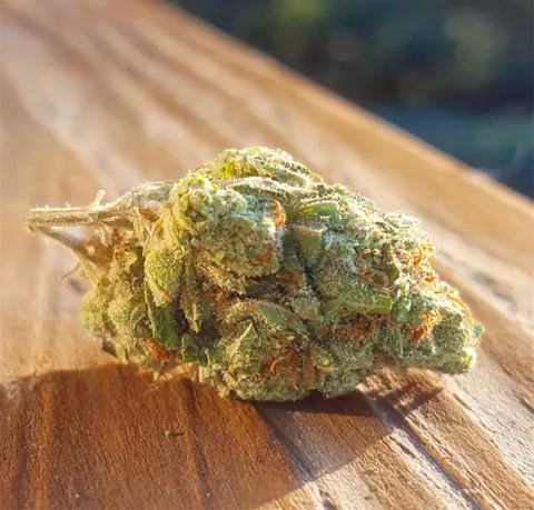 Fruit Punch Weed Strain Information | Leafly
