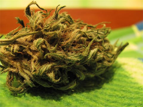 Full Moon Weed Strain Information | Leafly