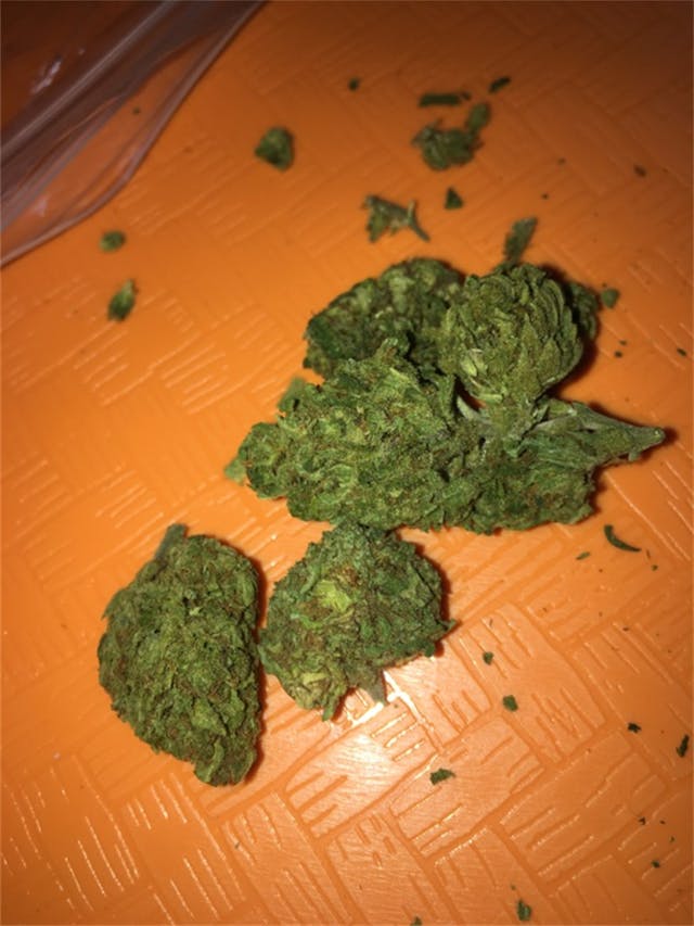 Photos of G13 Weed Strain Buds | Leafly