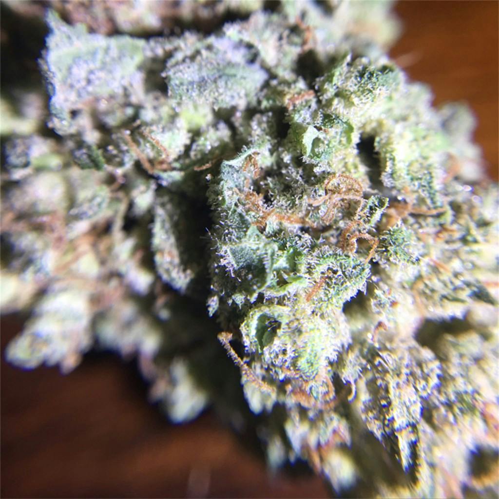 Galactic Jack Weed Strain Information | Leafly