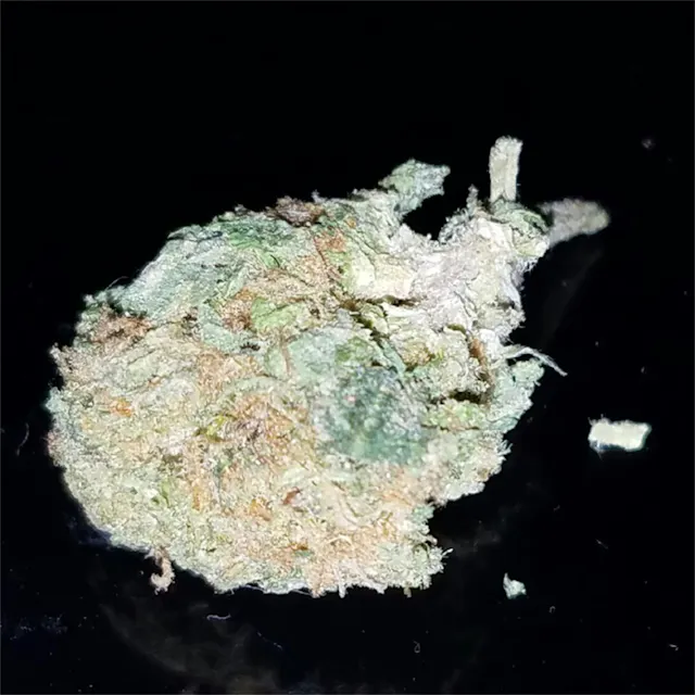 Photos of Gelato Weed Strain Buds | Leafly