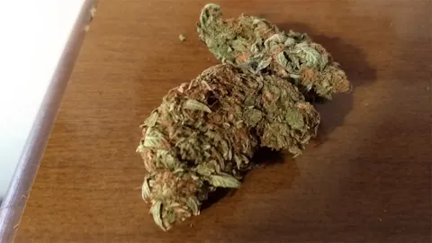 Gelato aka Gelato 42, Larry Bird, Zelato Weed Strain Information | Leafly