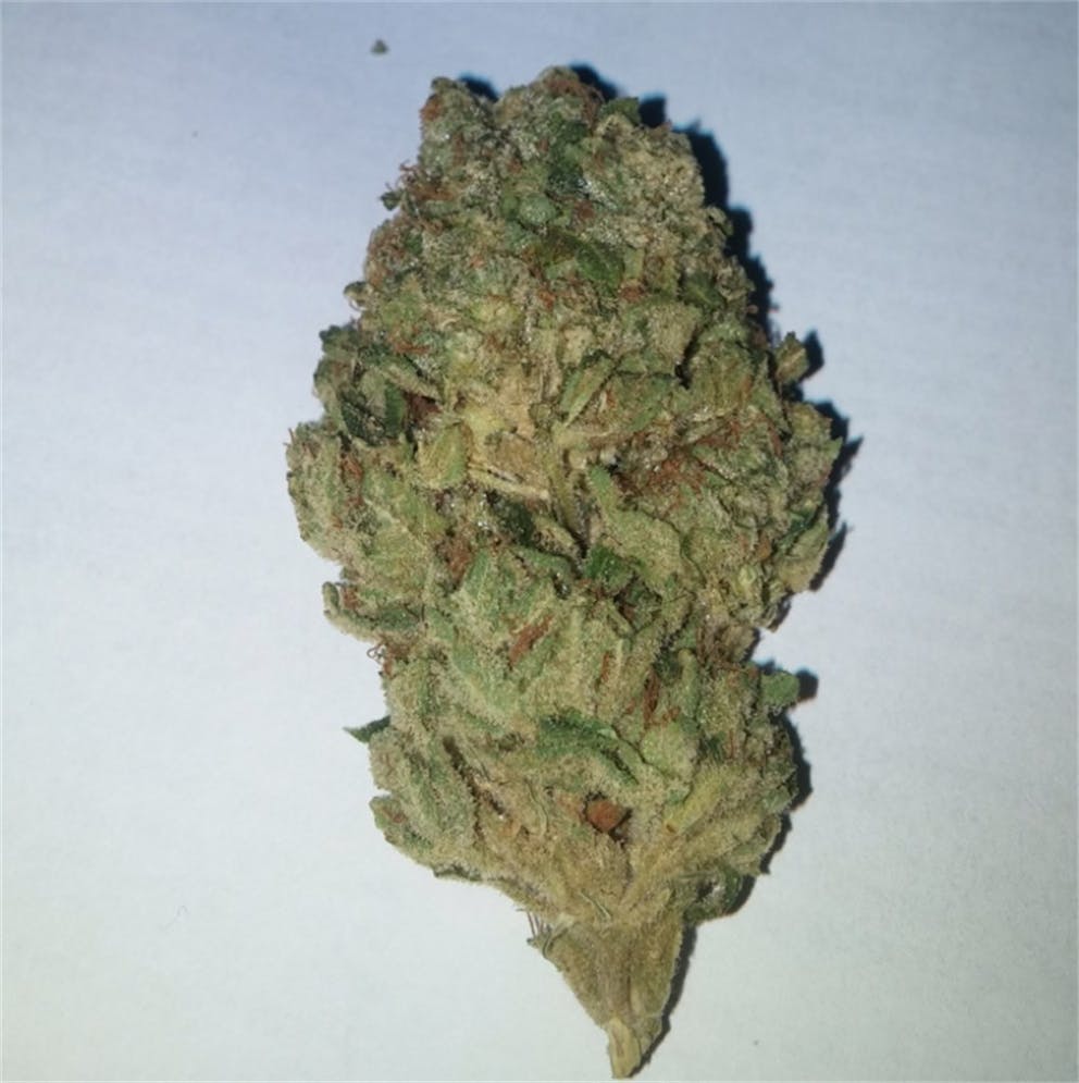 Photos of Ghost OG Weed Strain Buds | Leafly