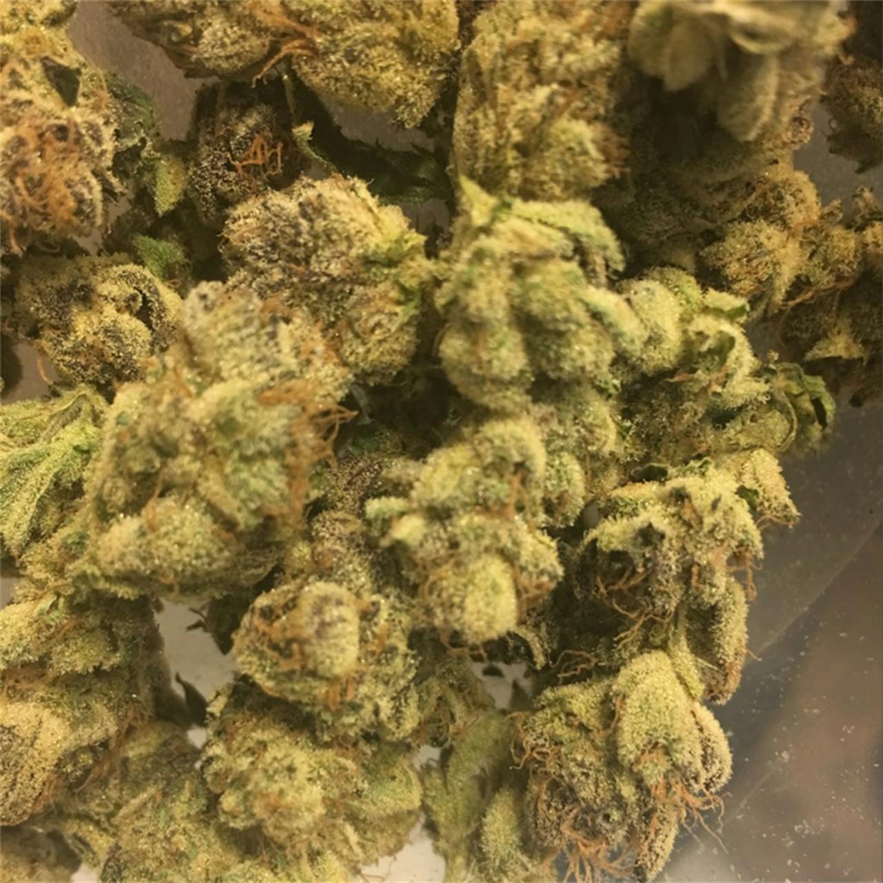 Photos of GSC Weed Strain Buds | Leafly