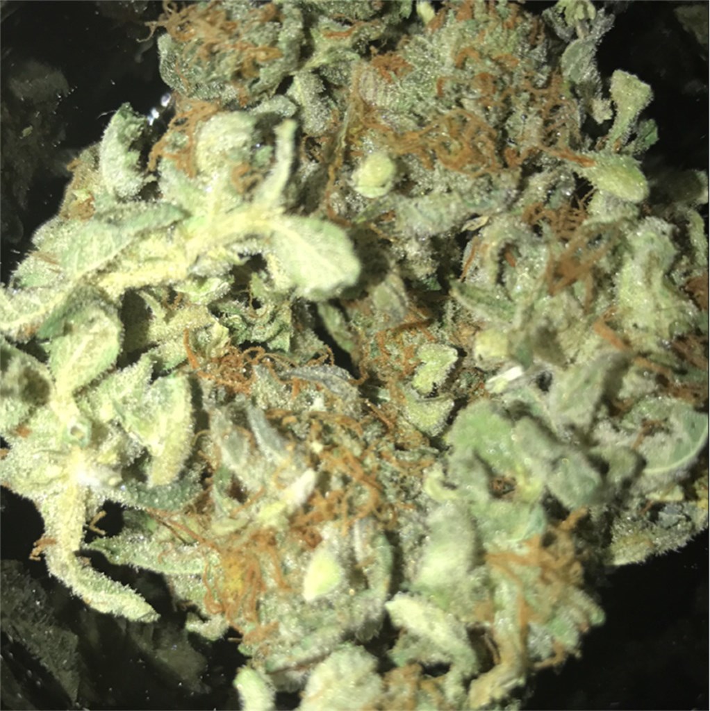 Photos of GSC Weed Strain Buds | Leafly