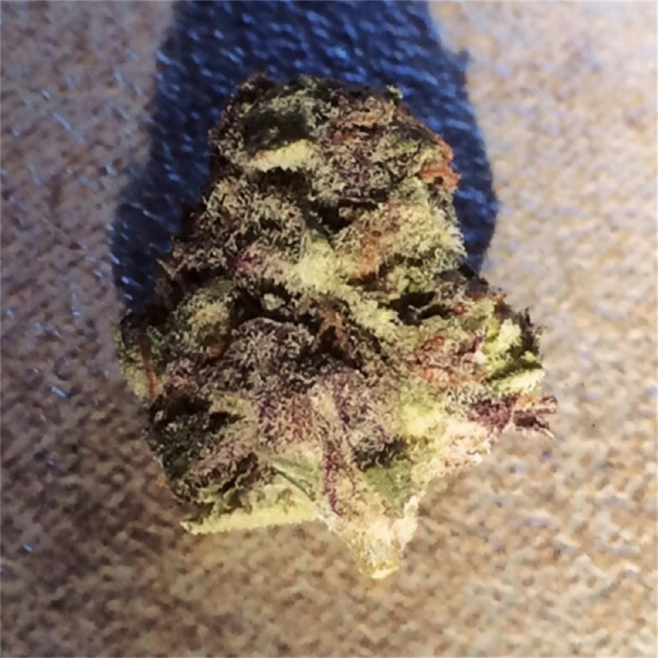 Photos of GSC Weed Strain Buds | Leafly