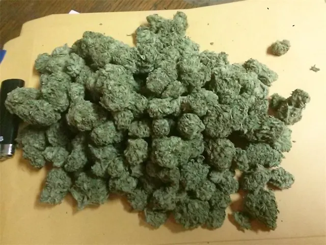 Photos of Godfather OG Weed Strain Buds | Leafly