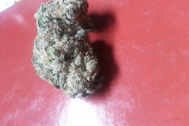 Photos of Godfather OG Weed Strain Buds | Leafly