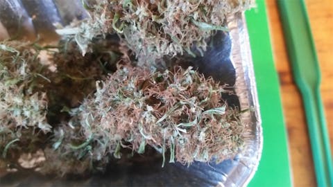 Godzilla Weed Strain Information | Leafly