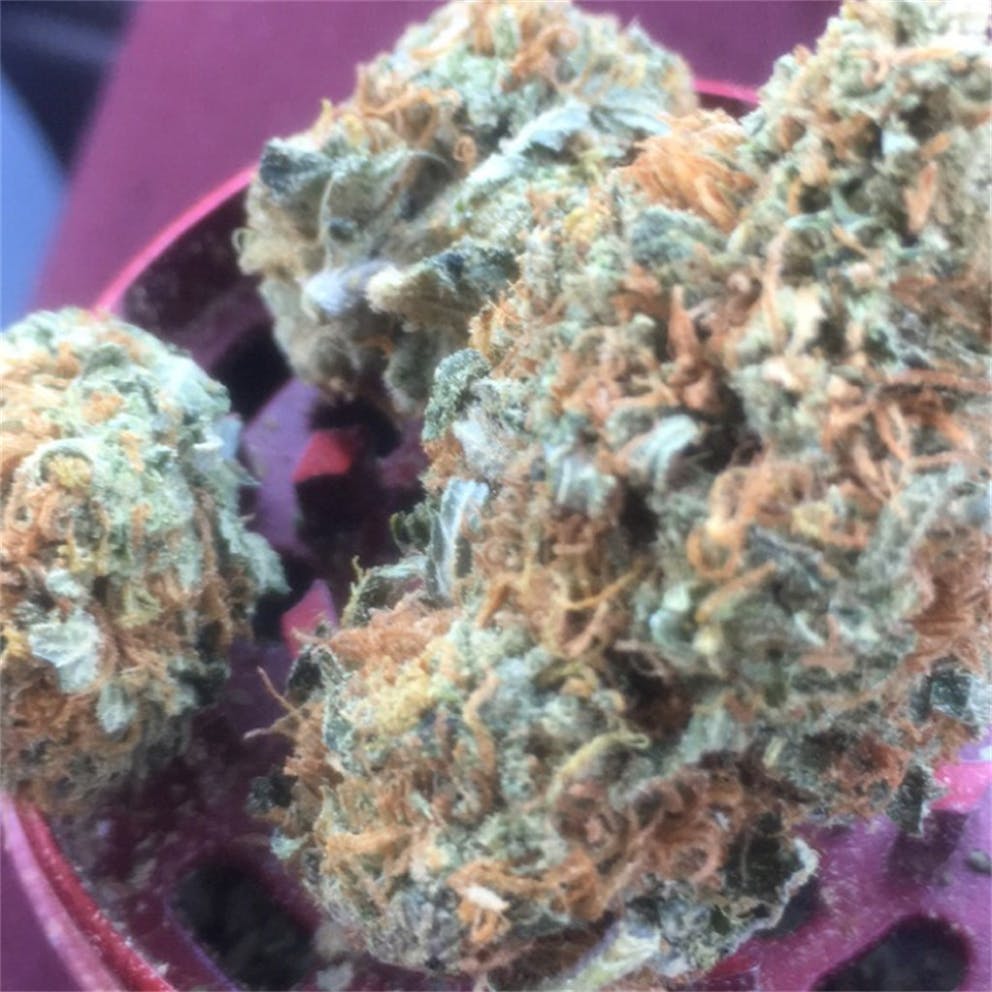 Photos of Golden Goat Weed Strain Buds | Leafly