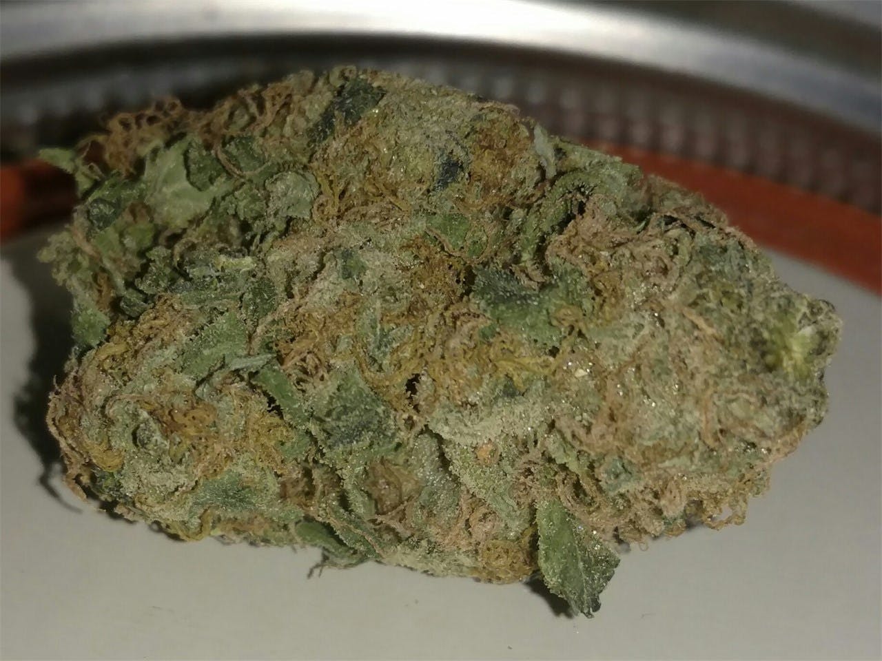 Photos of Golden Goat Weed Strain Buds | Leafly