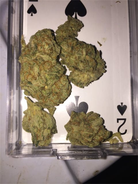 Golden Ticket aka Mr. Dank Weed Strain Information | Leafly