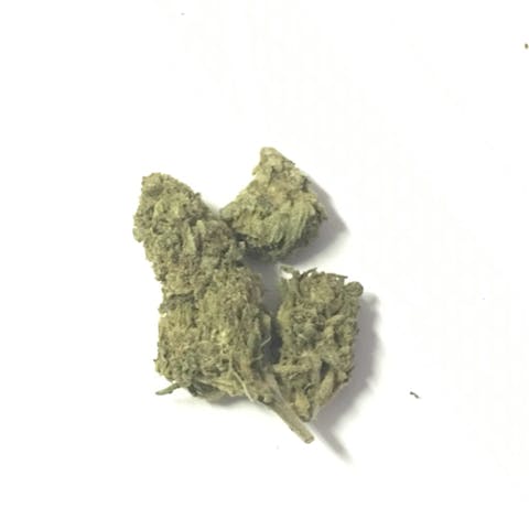 Golden Ticket aka Mr. Dank Weed Strain Information | Leafly