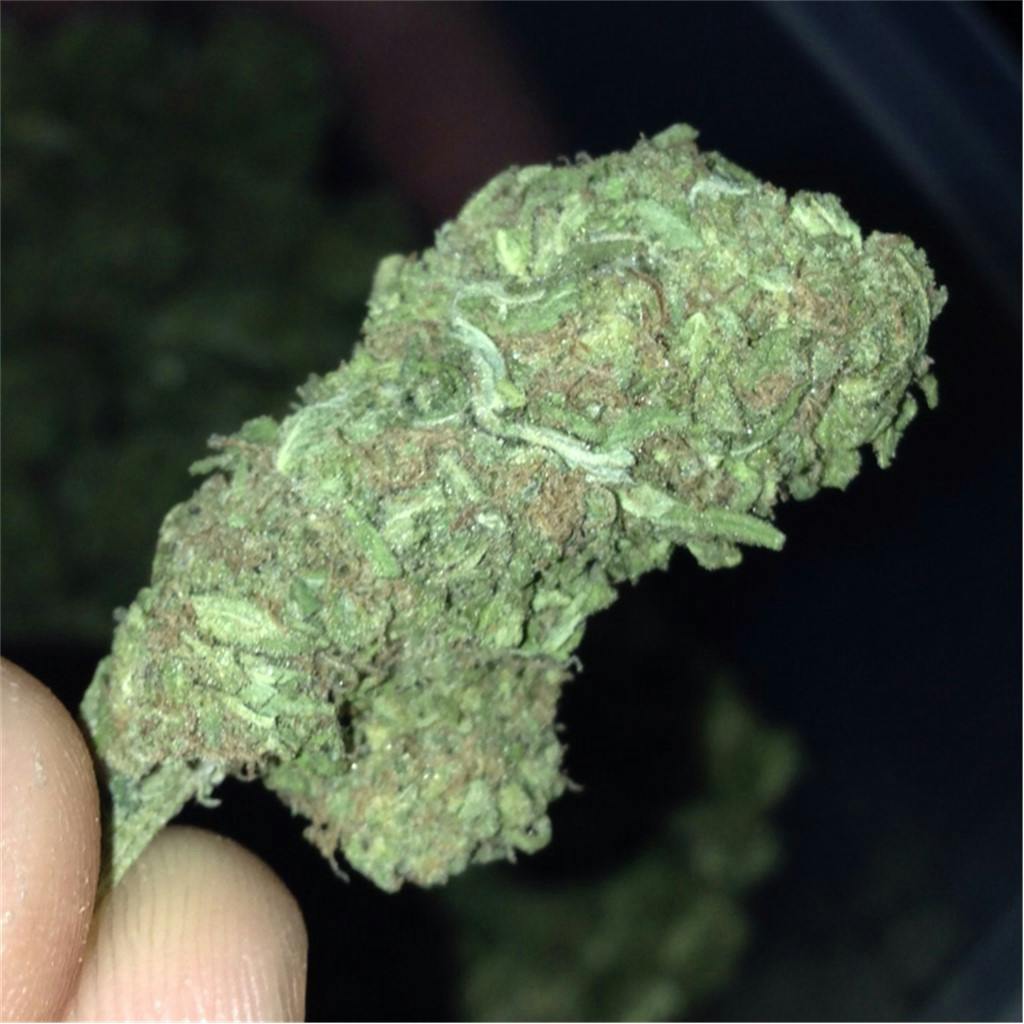 Gooberry aka Goo Berry, Gooberry OG Weed Strain Information | Leafly