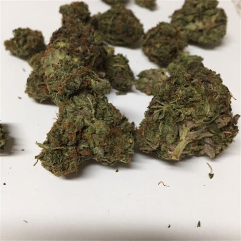 Gorilla Biscuit Weed Strain Information | Leafly