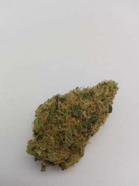 Photos of GG1 Weed Strain Buds | Leafly