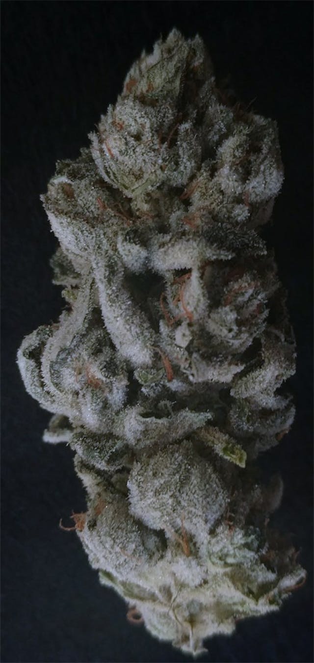 Photos of GG4 Weed Strain Buds | Leafly