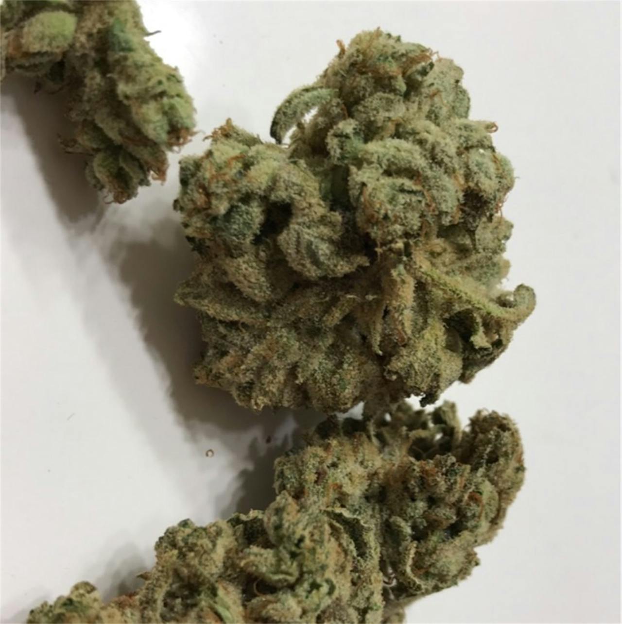 Photos of GG4 Weed Strain Buds | Leafly