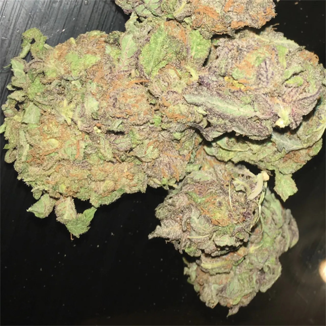 Photos of Granddaddy Purple Weed Strain Buds | Leafly