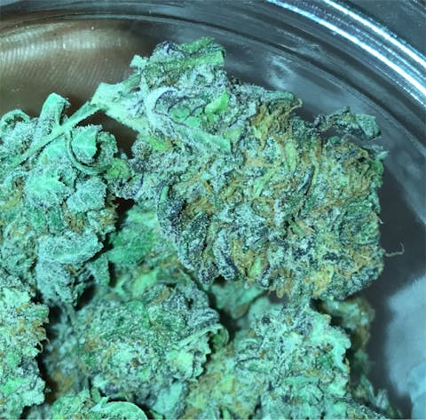 Granddaddy Purple aka Grand Daddy Purp, Granddaddy Purple Kush ...