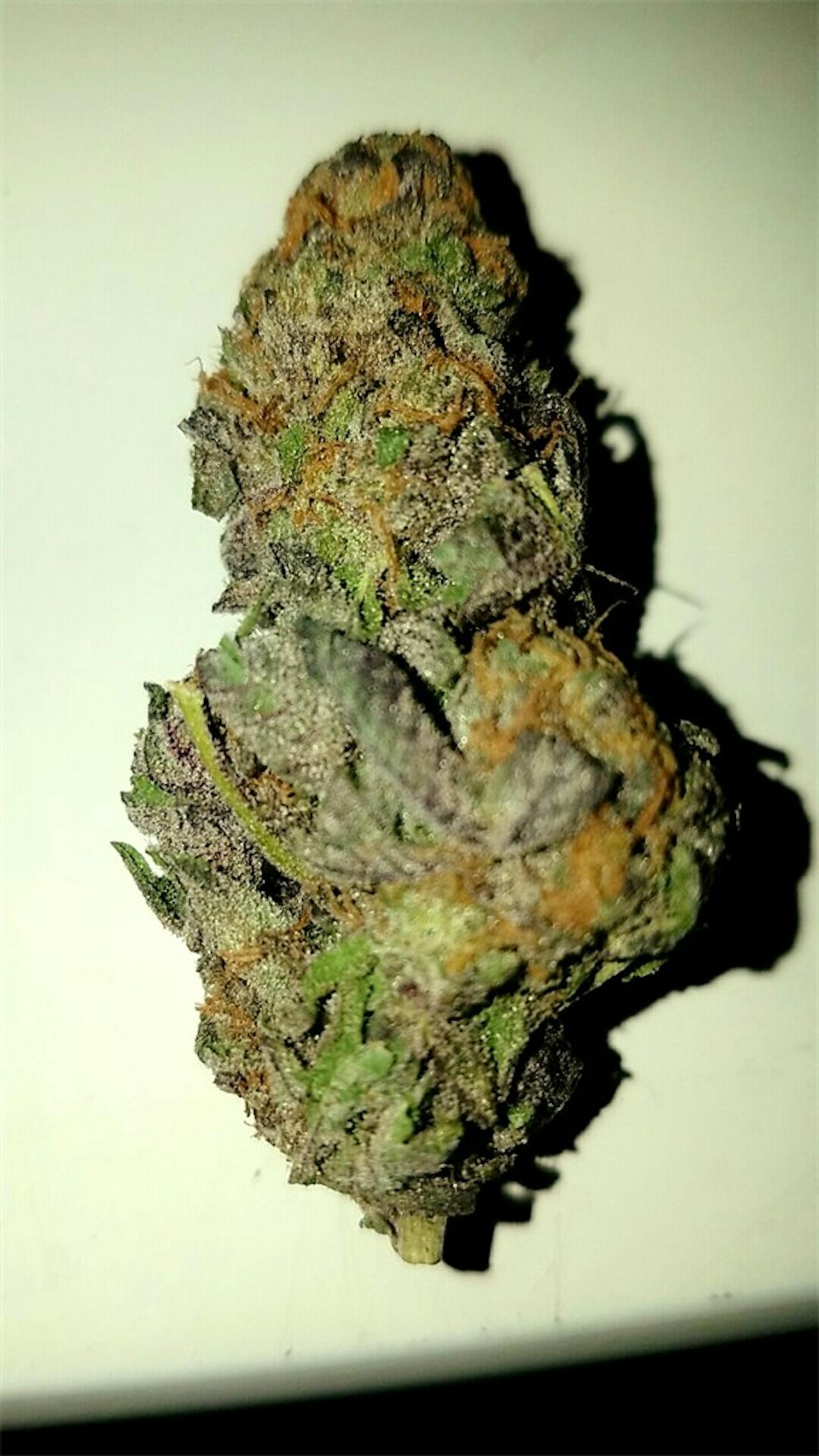 Photos of Granddaddy Purple Weed Strain Buds | Leafly