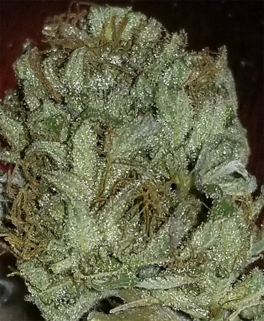 Grape Ape Weed Strain Information | Leafly