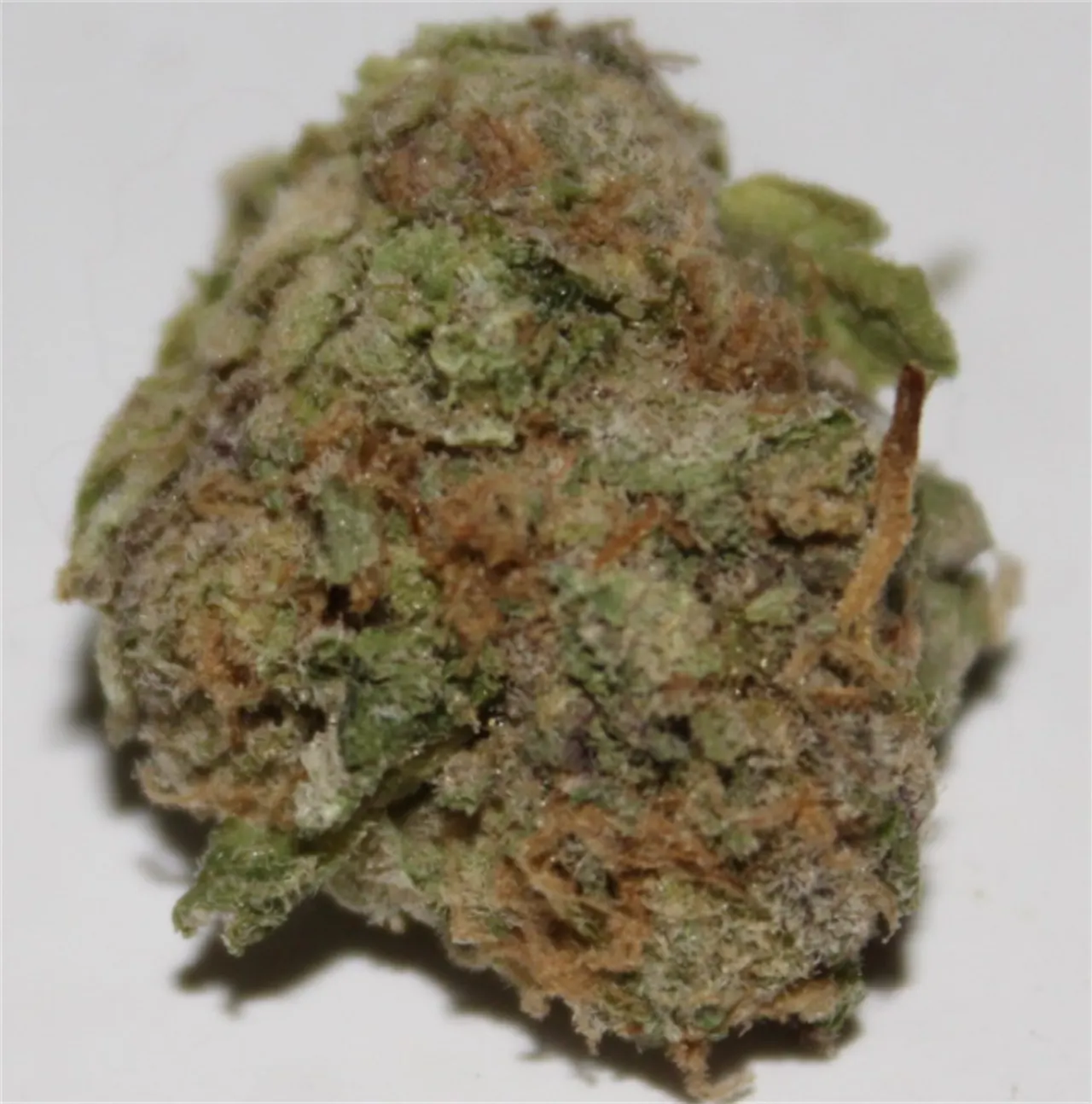 Photos of Grape Ape Weed Strain Buds | Leafly