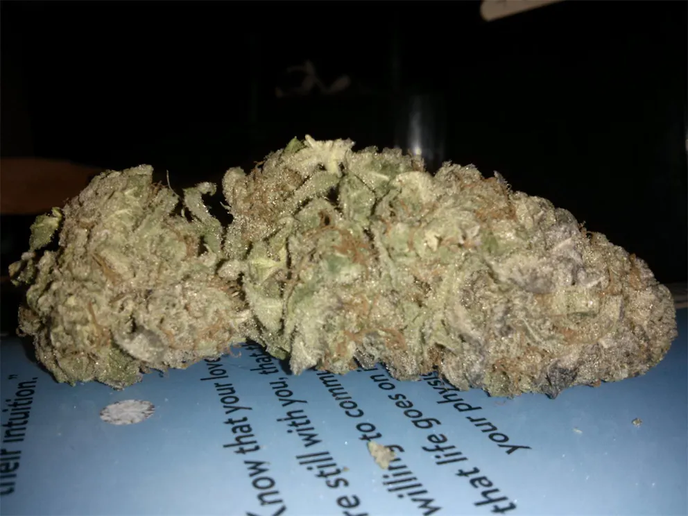 Photos of Grape OX Weed Strain Buds | Leafly