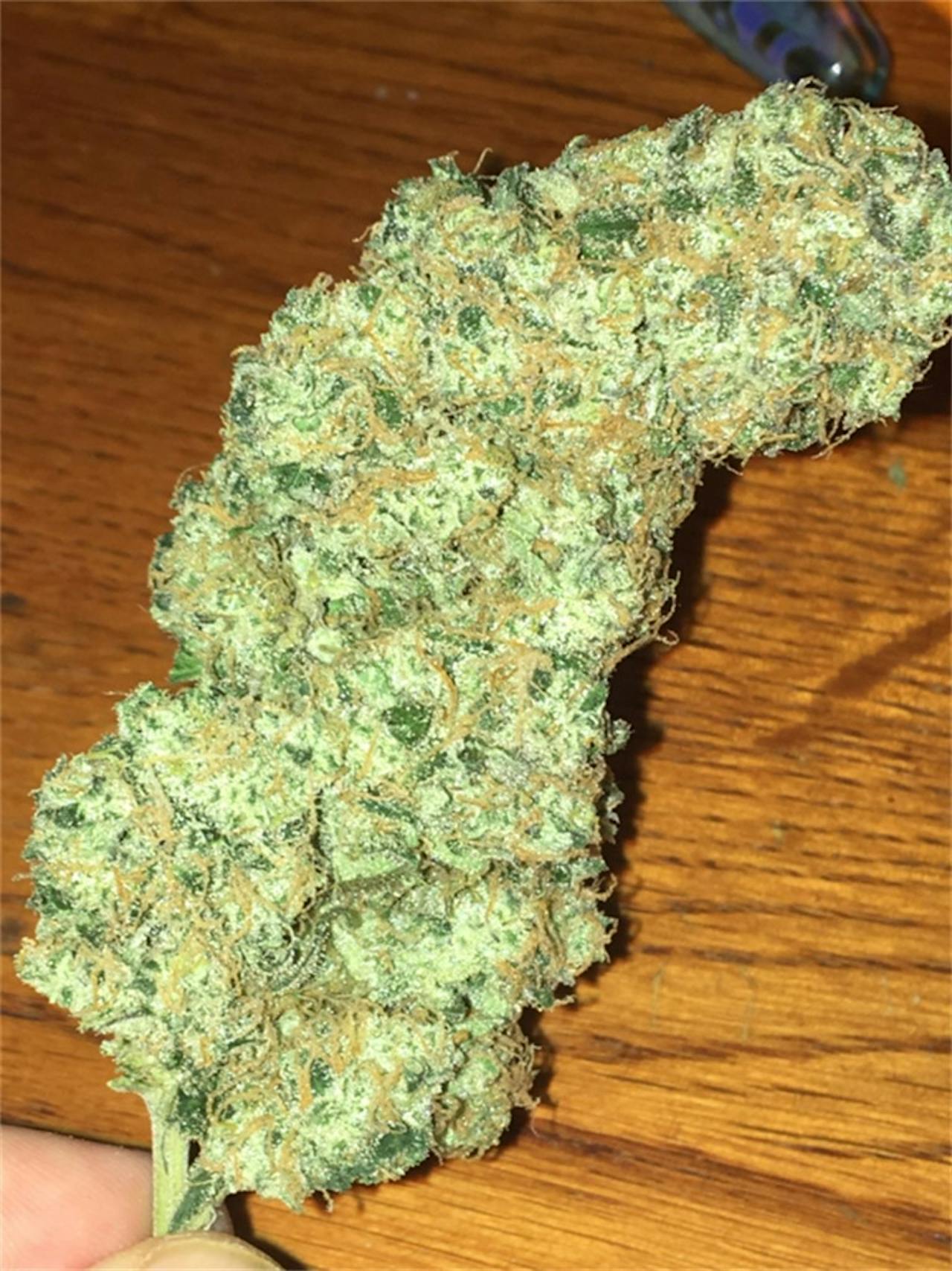 Photos of Grape Stomper Weed Strain Buds | Leafly