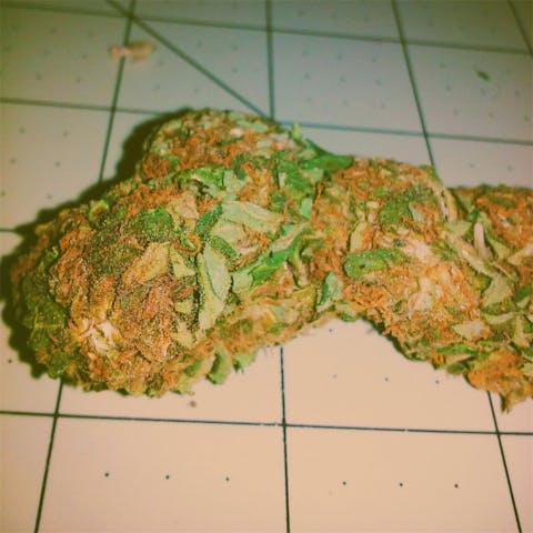 Green Crack Extreme aka Extreme Green Crack Weed Strain Information ...