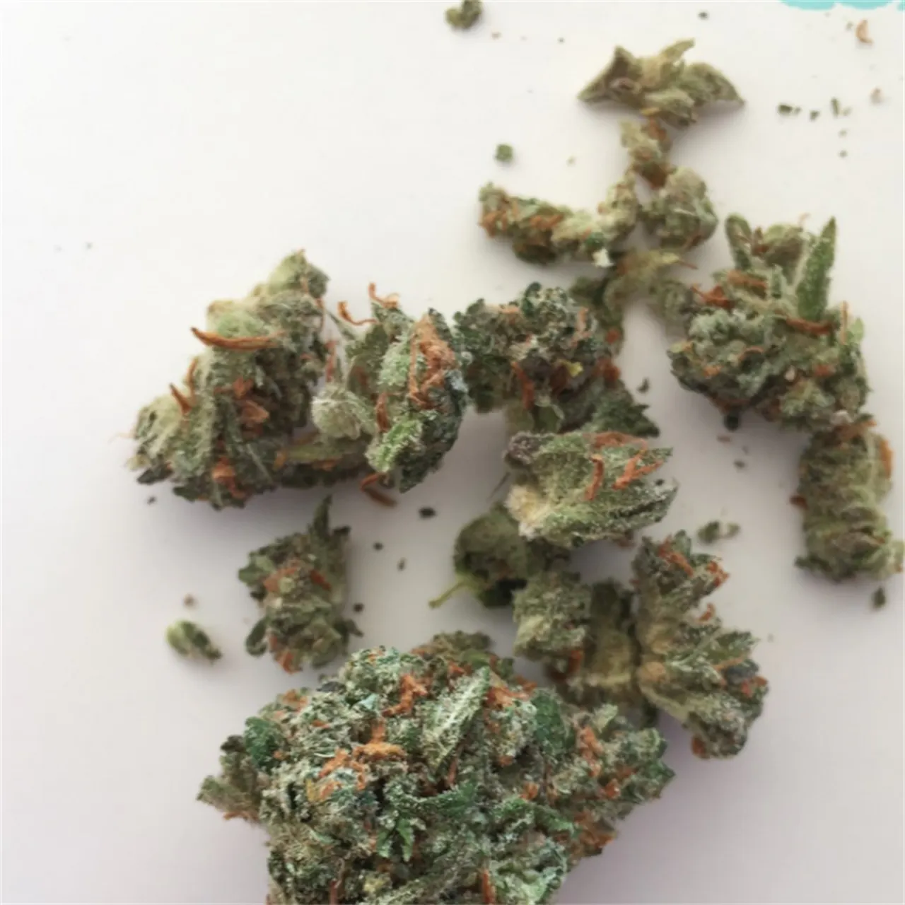 Photos of Green Crack Weed Strain Buds | Leafly