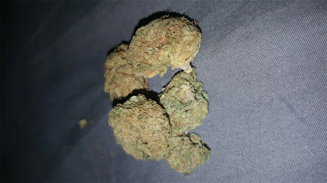 Photos of Green Crack Weed Strain Buds | Leafly