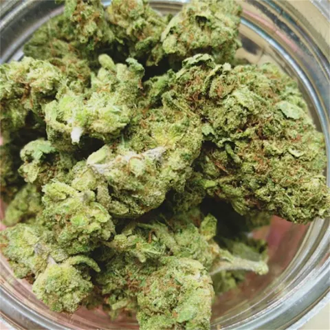 Green Dragon aka Master Thai's Green Dragon, MTGD-BX7, MTGD Weed Strain ...
