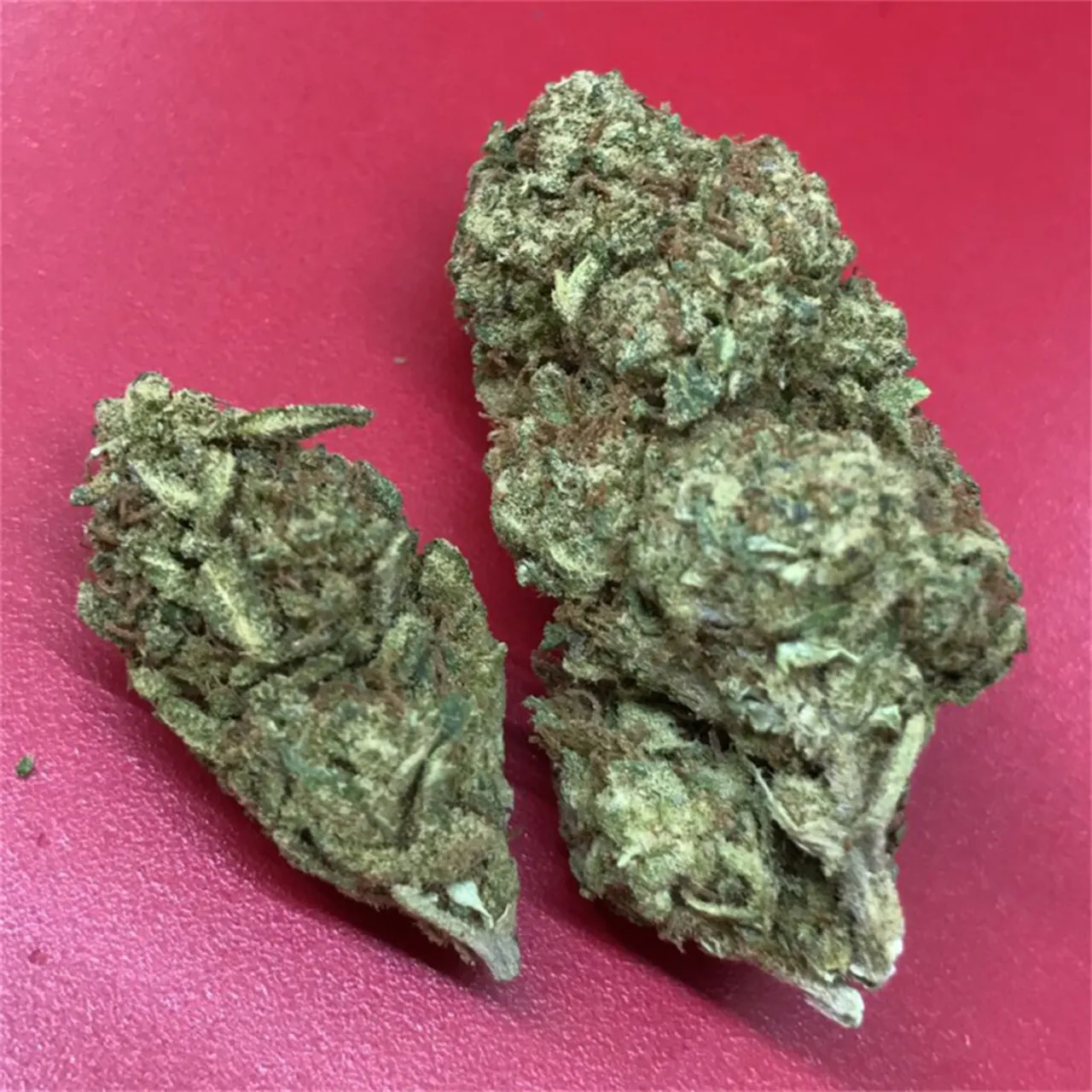 Photos of Grimace OG Weed Strain Buds | Leafly