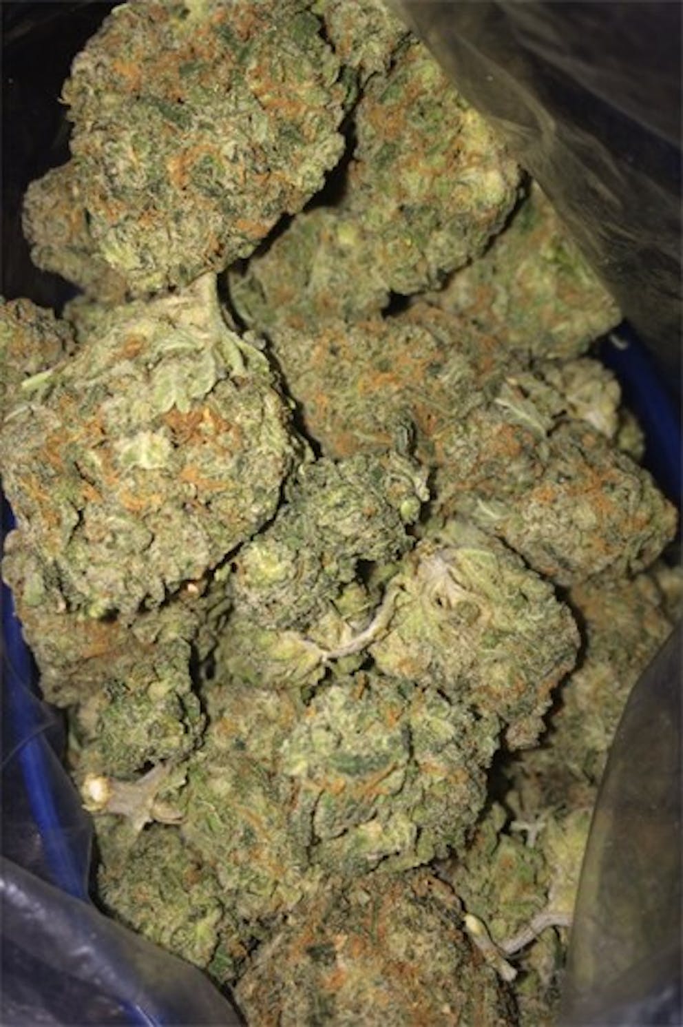 Photos of Guava Kush Weed Strain Buds | Leafly