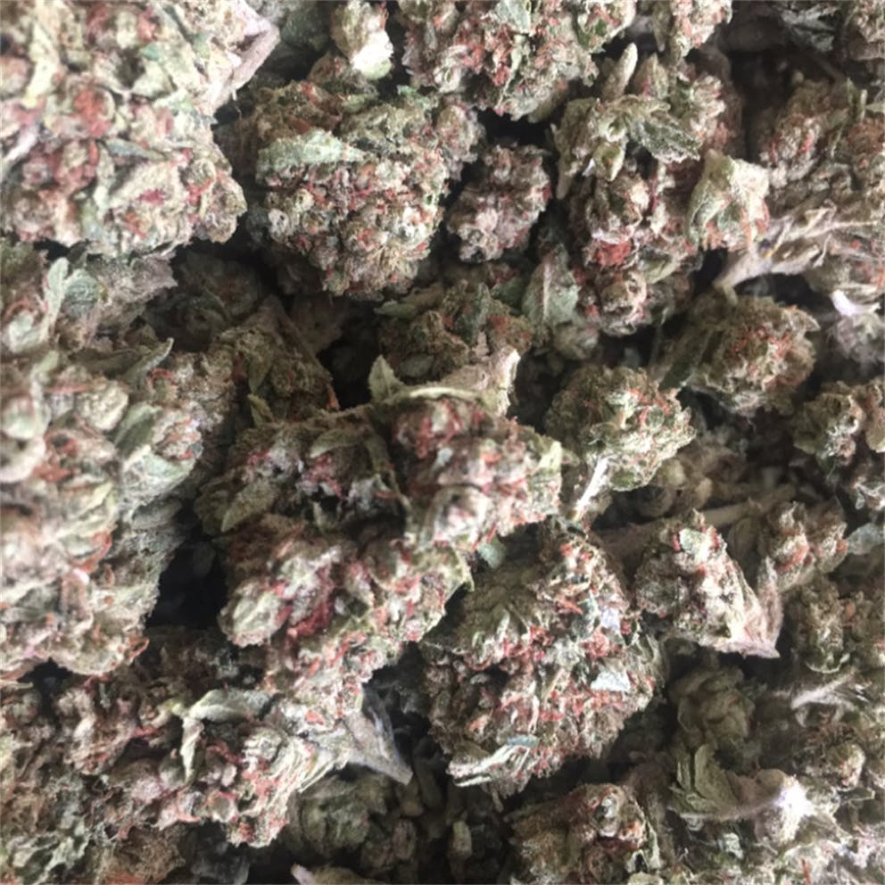 Photos of Gucci OG Weed Strain Buds | Leafly