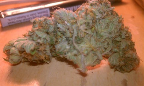 Hashplant Haze aka Hash Haze Weed Strain Information | Leafly