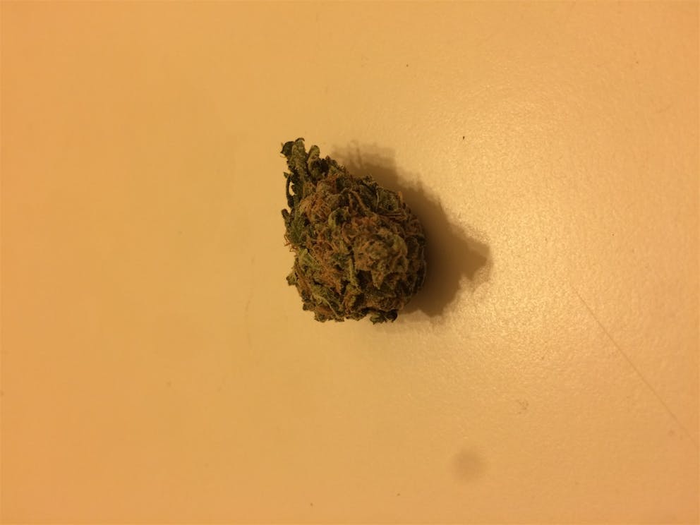 Photos of Hawaiian Haze Weed Strain Buds | Leafly