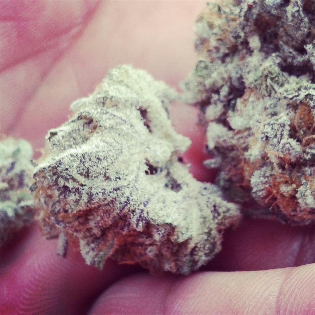 Hawaiian Purple Kush Weed Strain Information | Leafly