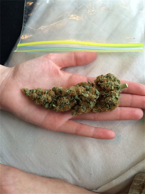 Hawaiian Snow Weed Strain Information | Leafly