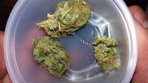Haze Berry Weed Strain Information | Leafly