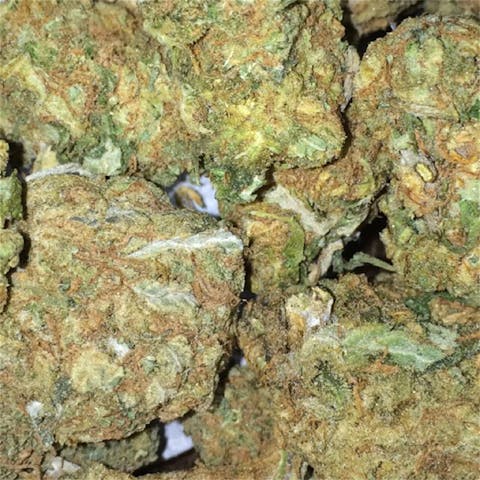 Haze aka Original Haze, Haze Brothers Weed Strain Information | Leafly